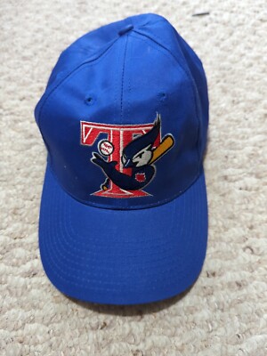 VTG Toronto Blue Jays Cheerios Blue Hat Cap Men | eBay