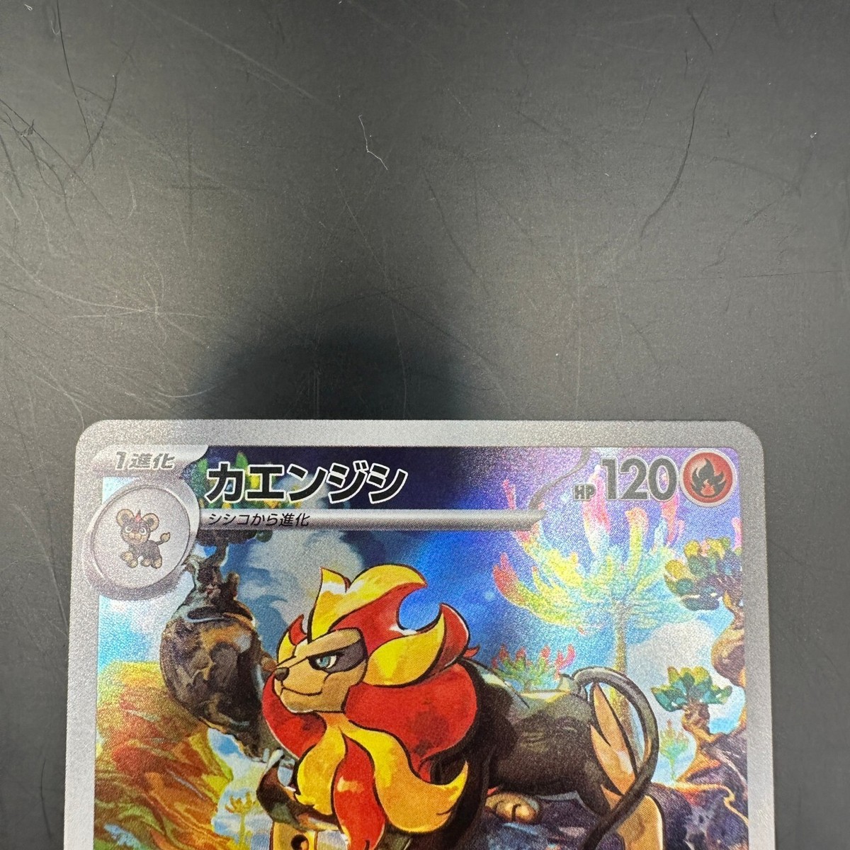 Pyroar Pokemon Wallpaper