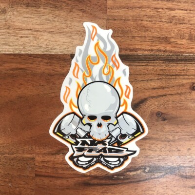 No Fear Vinyl Decal Sticker Skull Flames Pistons Logo | eBay