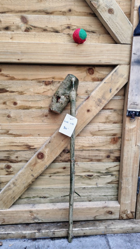Holly Walking Stick Cane Blank Shank Shaft Knob Stick | eBay UK