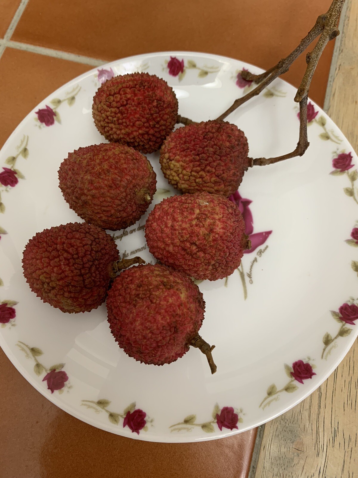 US 10 seeds Fresh Lychee Fruits HeardShape Small Seed Hard To Find This ...