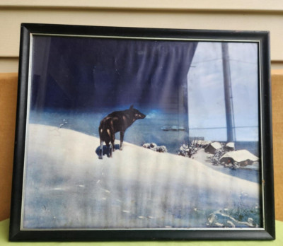 Print of a Lone Wolf on a Snowy Hillside Overlooking a Farmstead | eBay