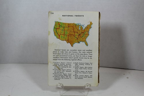 Vintage Golden Nature Guide to Familiar American Trees 1956 Full Color ...