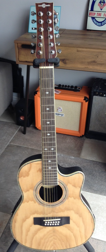 12 String Roundback Guitar Gear4music BUILT IN TUNER, ELECTRIC, 2 SETS ...