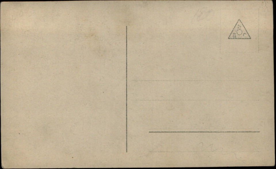 RPPC Beautiful dapple horse studio portrait vintage real photo postcard | eBay