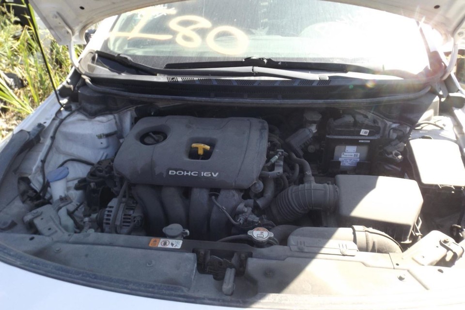 Temperature Control Hatchback Fits 17-18 FORTE 1675143 | eBay