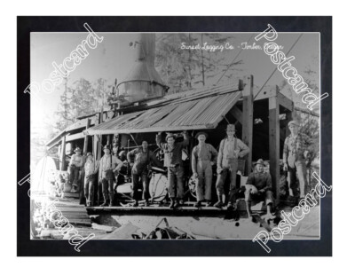 Historic Sunset Logging Co. - Timber, Oregon Logging Crew Postcard 3 | eBay
