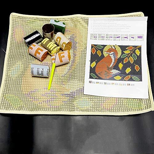 PakyKai Latch Hook Kits for Adults,Color Printed DIY Hook Rug Carpet ...