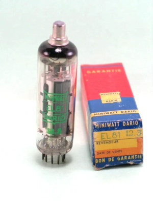 Tube EL81 DARIO NOS NIB neuf 1 pièce en boîte | eBay