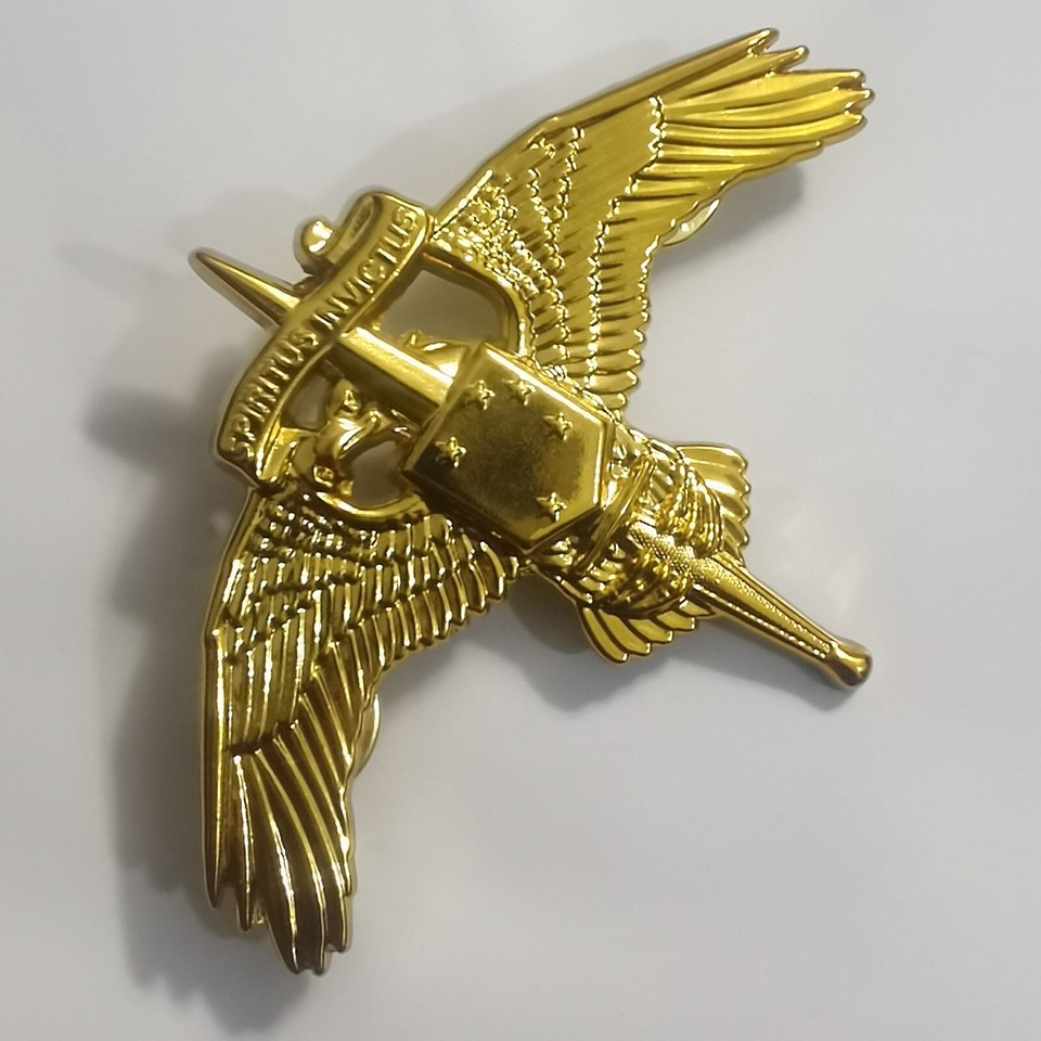 US Usmc Marsoc Wings Badge Pin Marine Raider Insignia Spiritus Invictus ...
