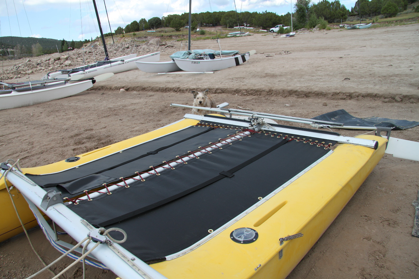 SOLCAT 18 Sol Cat Trampoline New Black Mesh w/2 Pocket For Sol Cat 18 ...