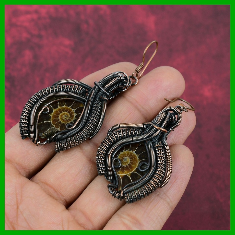 Natural Ammonite Fossil Wire Wrapped Dangle Drop Hook Earrings Jewelry ...