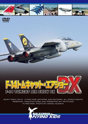F-14 Tomcat Air Show DX [DVD] JAPAN Japanese | eBay