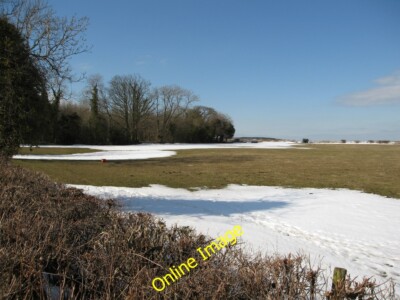 Photo 6x4 Grazing field and Pen-y-rhos wood Marian/SJ0979 From the road ...