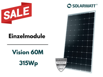 SOLARWATT Panel Vision 60M (315Wp) | Glas-Glas-Modul | 0% MwSt. | eBay.de