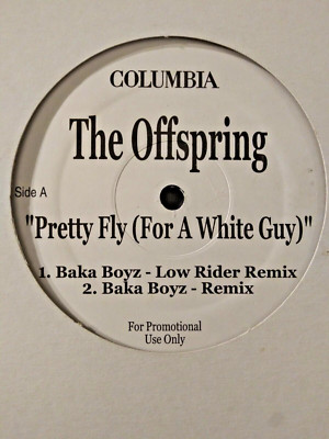 The Offspring – Pretty Fly (For A White Guy) 12" RARE Remix White Label ...