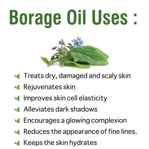 Borage Oil Benefits