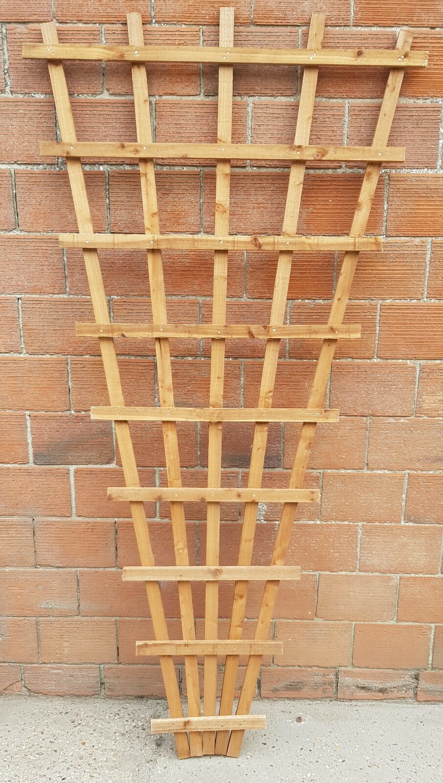 6ft X 3ft Fan Trellis for garden plants. *COLLECTION FROM CHELMSFORD ...
