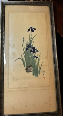 Prints - Shima Art