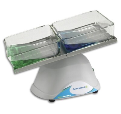 Shakers - Rocker Model