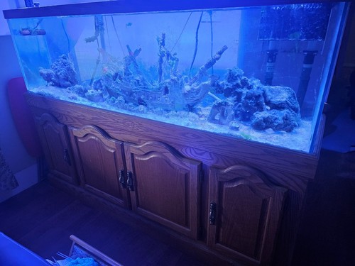 125-Gallon Saltwater Aquarium Setup – Complete System | eBay