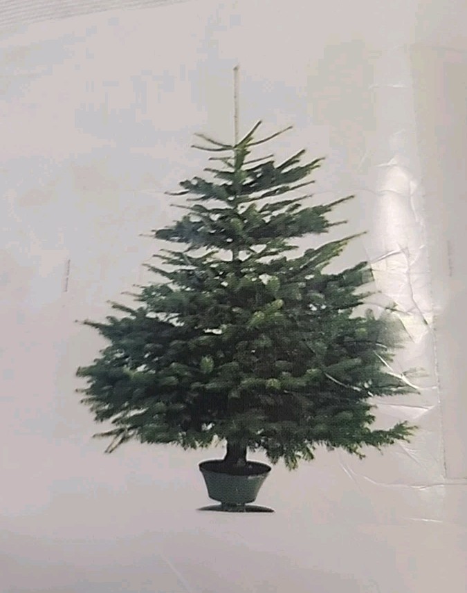 IKEA VINTER 2020 Pre-cut Fabric 59" X 87" Christmas Tree Cotton New | eBay