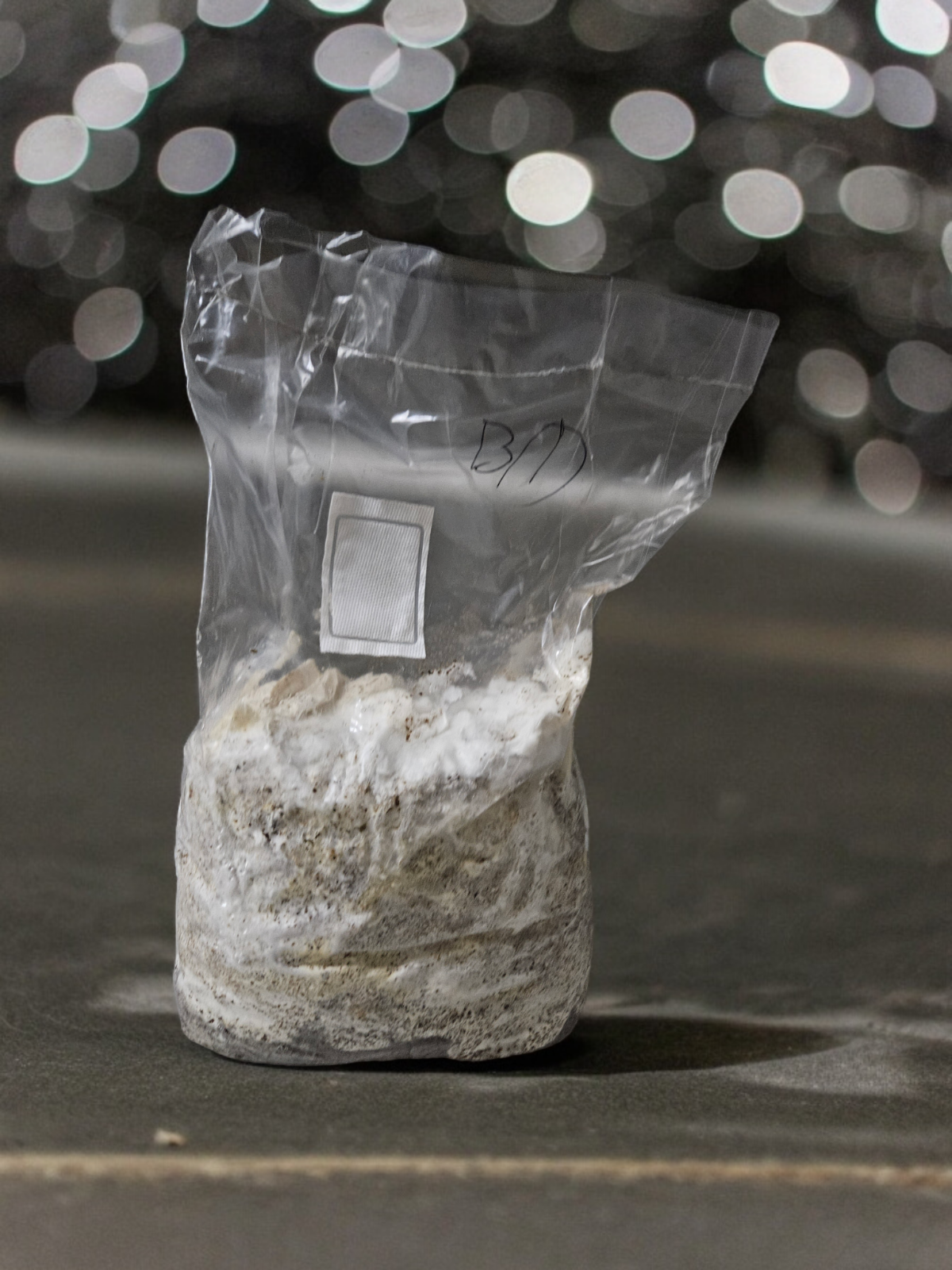 Premium Colonized Substrate Mushroom Grow Bags | eBay