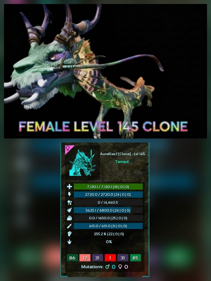 Aureliax Lost Colony Level 145 Clones Ark Ascended Pve Official-Asa PC ...