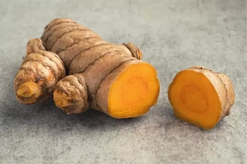 Organic Yellow Turmeric Plant -Curcuma longa- Live Starter Plant- FREE ...