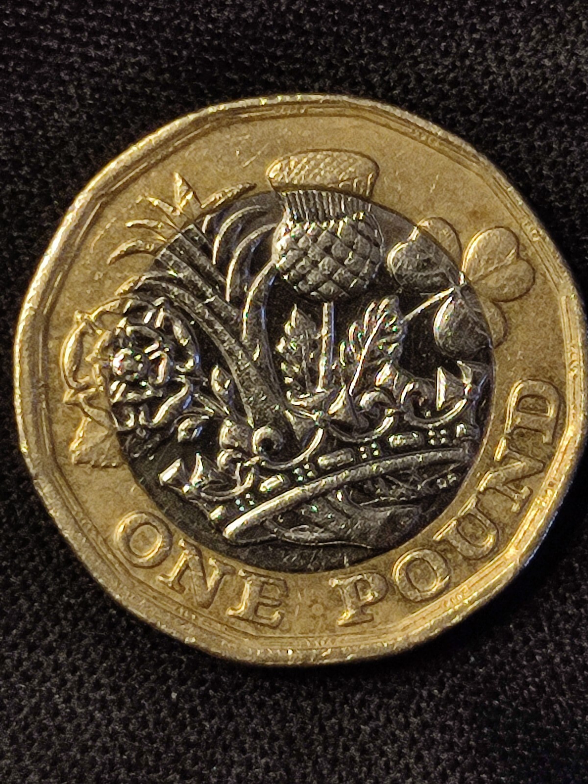 RARE 2017 ONE POUND COIN, YEAR MISPRINT 2016 MINTING ERROR | eBay UK