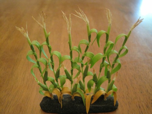 Row of Corn 1:12 scale dollhouse miniature Hand molded Corn Stalks | eBay