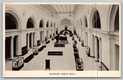 Vintage Stanley Field Hall Postcard Field Museum Chicago U.S.A. | eBay