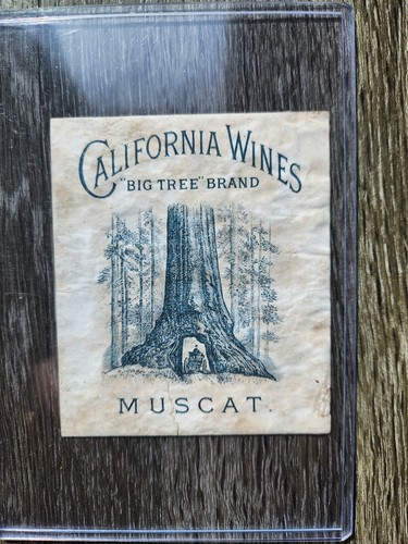 California Wines Muscat Label - Big Tree Brand - Redwood - Old ...