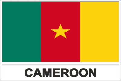 Autocollant sticker drapeau CMR cameroun cameroune | eBay