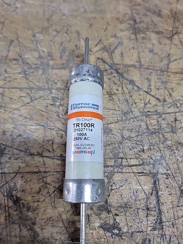 1-Ferraz Shawmut TR100R Fuse - 100A 250V 200kA Dual-Element Time Delay ...