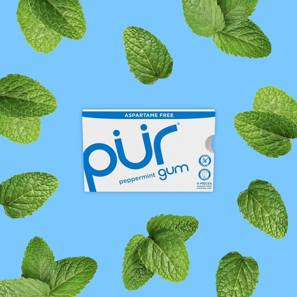PUR Peppermint Sugar Free Chewing Gum 9 Count Pack Aspartame Free ...