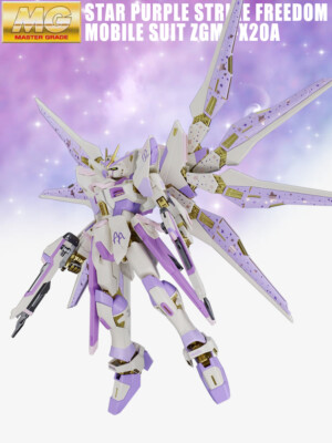 NEW Gundam seed Strike freedom 2.0 Star purple custom Bandai MG 1/100 ...