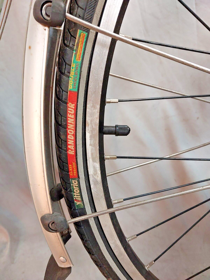 2018 Novara Fusion City Hybrid Bike 22" XLarge 8S Shimano Nexus Drum ...