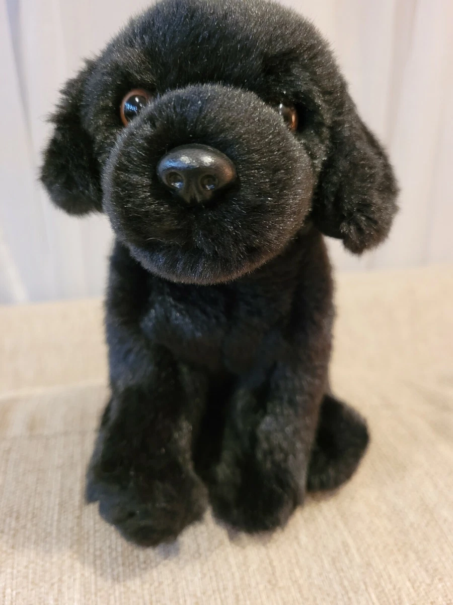 Webkinz Signature Black Lab