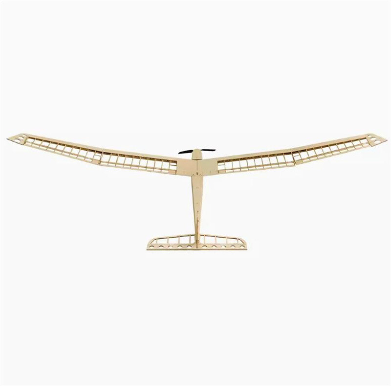 RC Plane F25 AION Balsa Wood Model Aircraft Kit Wingspan 2500mm Glider ...