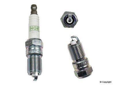 NGK Spark Plug TR55GP | eBay
