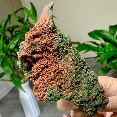 388G Natural grape agate quartz crystal granular mineral specimen | eBay