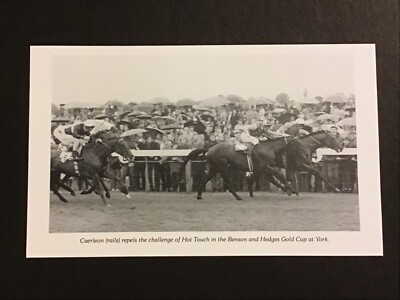 CAERLEON Photo Horse Racing CHAMPION SIRE | eBay