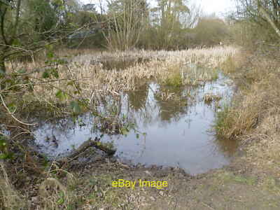 Photo 6x4 Pond on Bell Common, Epping Bell Common provides an important ...