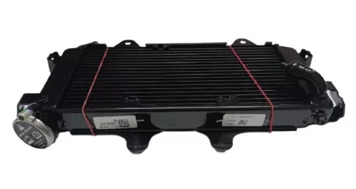 Suitable The Model KTM Duke 390 Duke 250 2017-2020 Radiator Complete ...