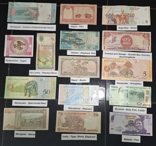 Lot of 15 Animal Kingdom Wildlife Banknotes Foreign Paper Money World ...