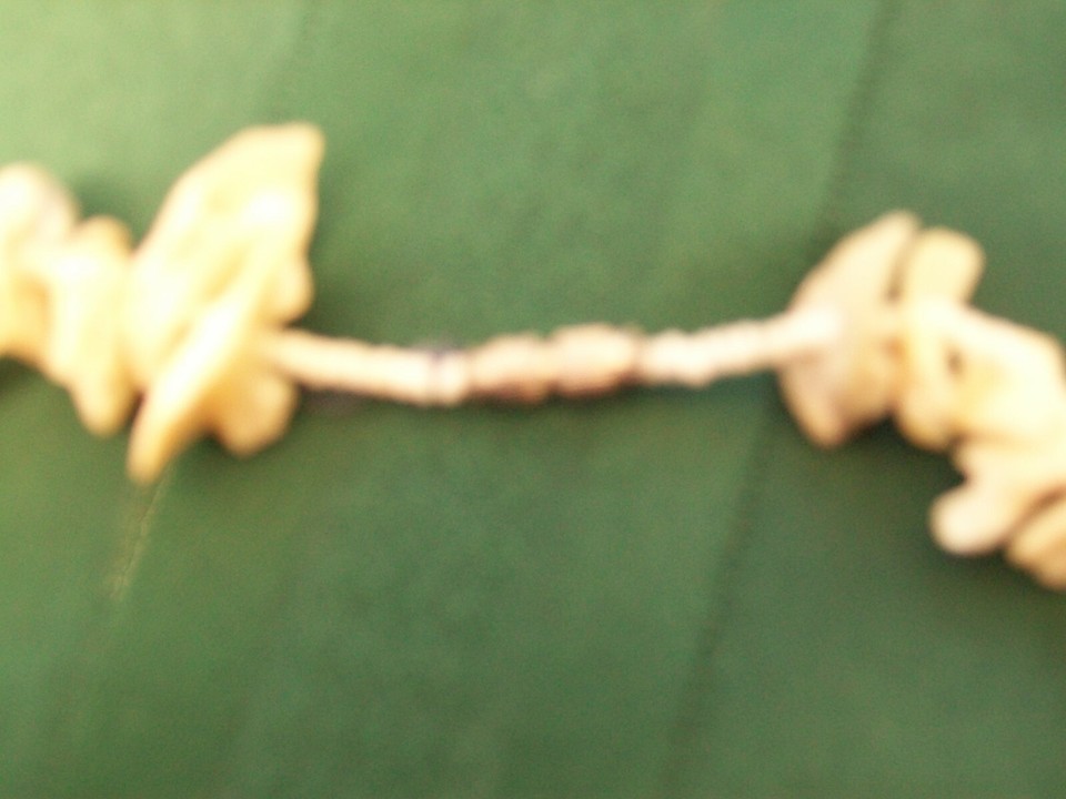 PERFECT FOR YOUR SUMMER OUTFIT ~ 30 INCH SHELL NECKLACE | eBay