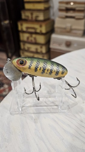 Vintage Fred Arbocast 5/8 Jitterbug Perch Color. A Few Body Marks. | eBay