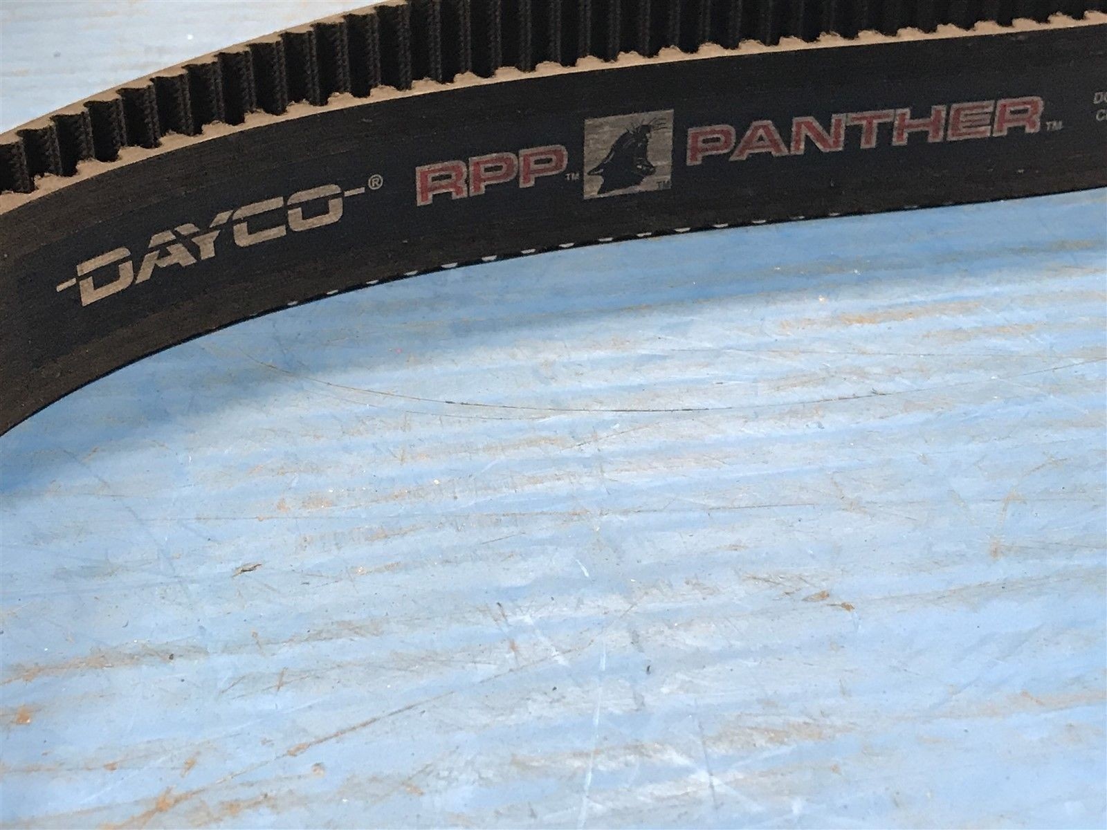 New Dayco RPP Panther 2000PTH8M-35 Timing Belt No Box (O7) | eBay