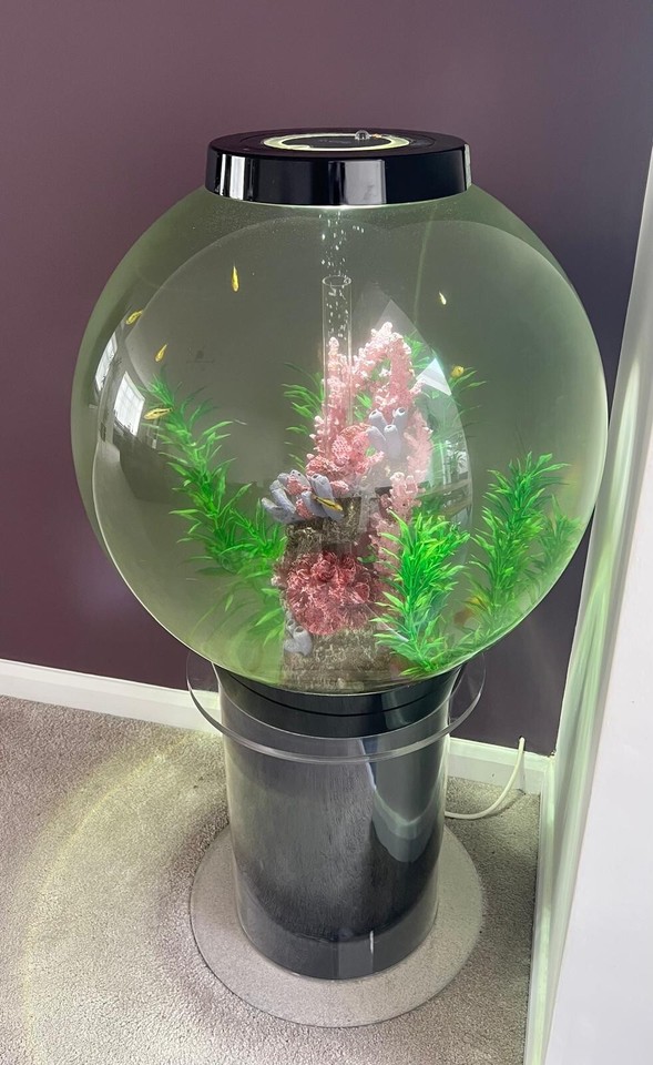 biOrb Classic 105 Black MCR LED Aquarium & Stand 105L Fish Tank Oase ...